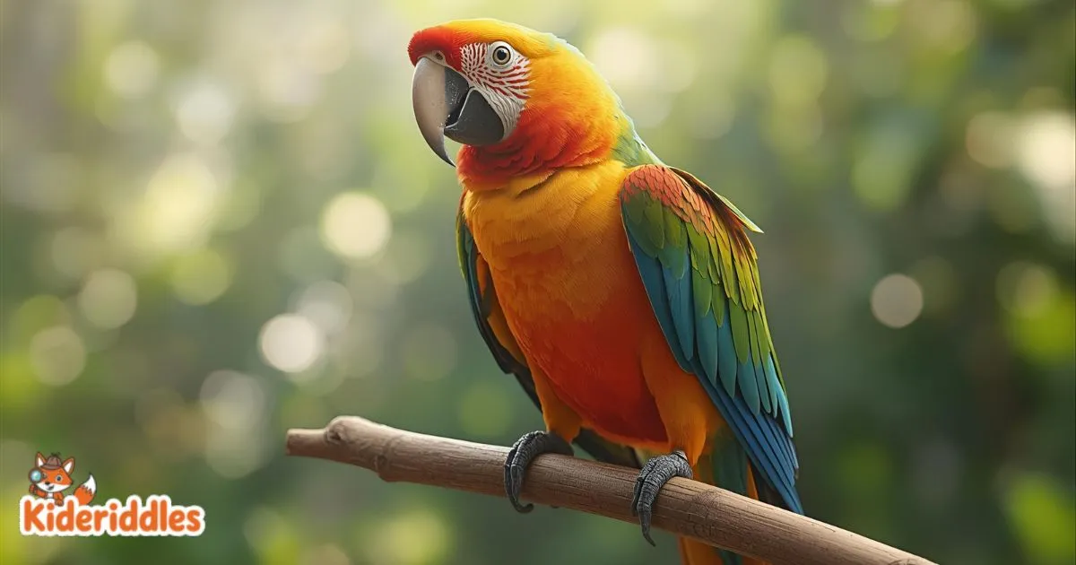 300+Funny Parrot Riddles (Clever for Kids 2026-27)